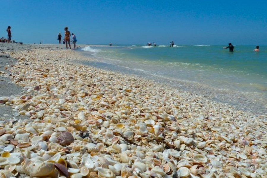 Beaches on Captiva & Sanibel Island | Dream Vacation Rentals